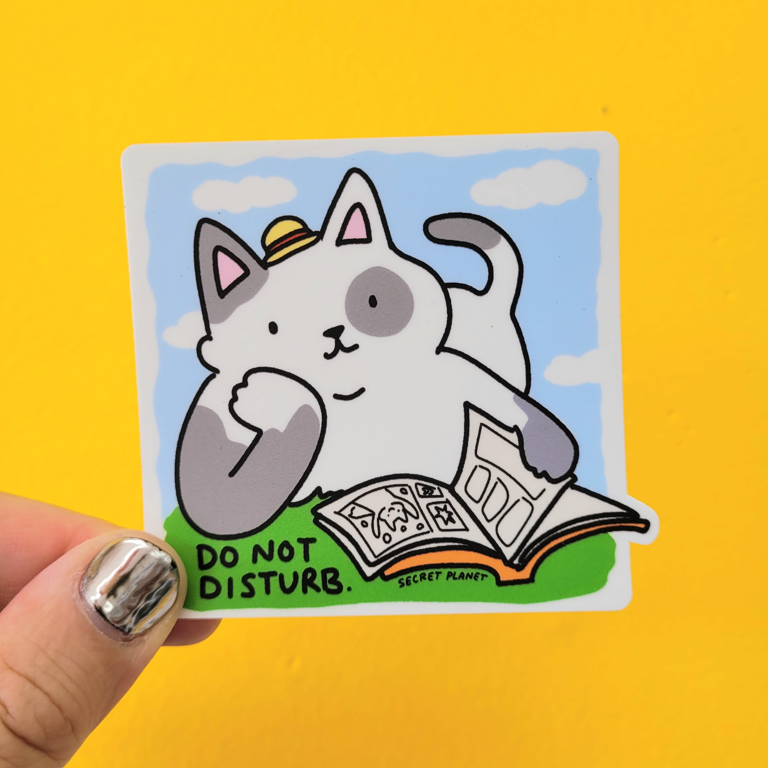 Do Not Disturb Vinyl Sticker – Secret Planet