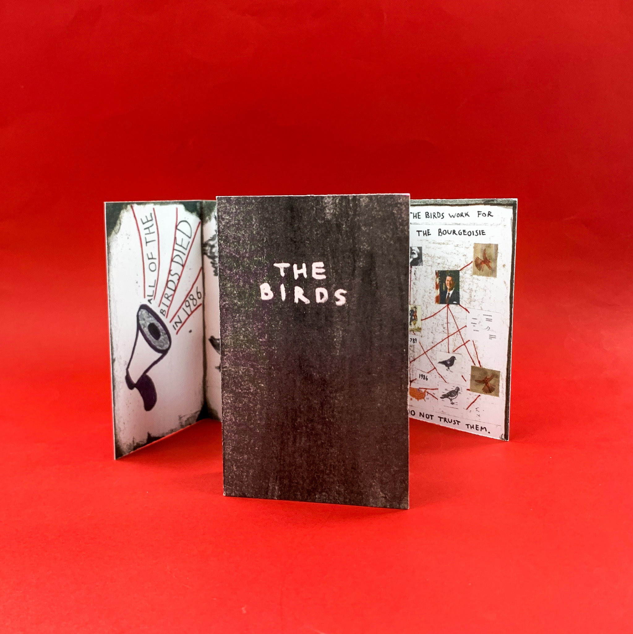 The Birds Zine – Secret Planet